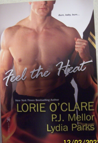 Feel the Heat by P. J. Mellor, Lydia Parks and Lorie O'Clare (2011, Uk ...