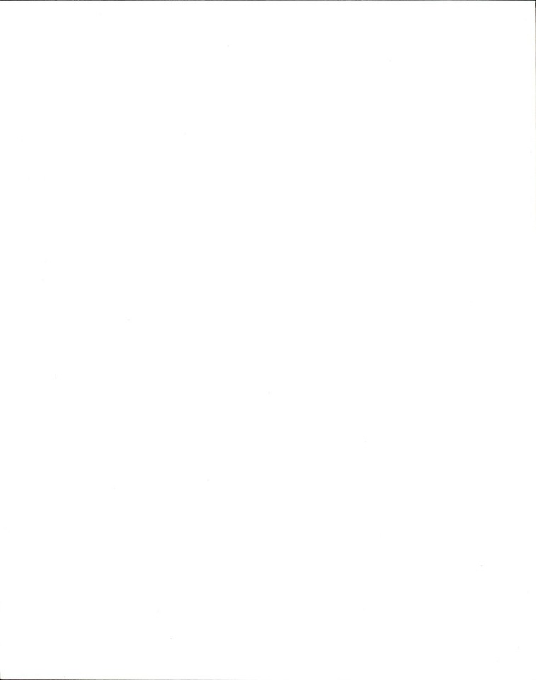 LVE12 Color Vtg Signed Photo BUSTY SCREAM QUEEN MICHELLE BAUER PINUP ...