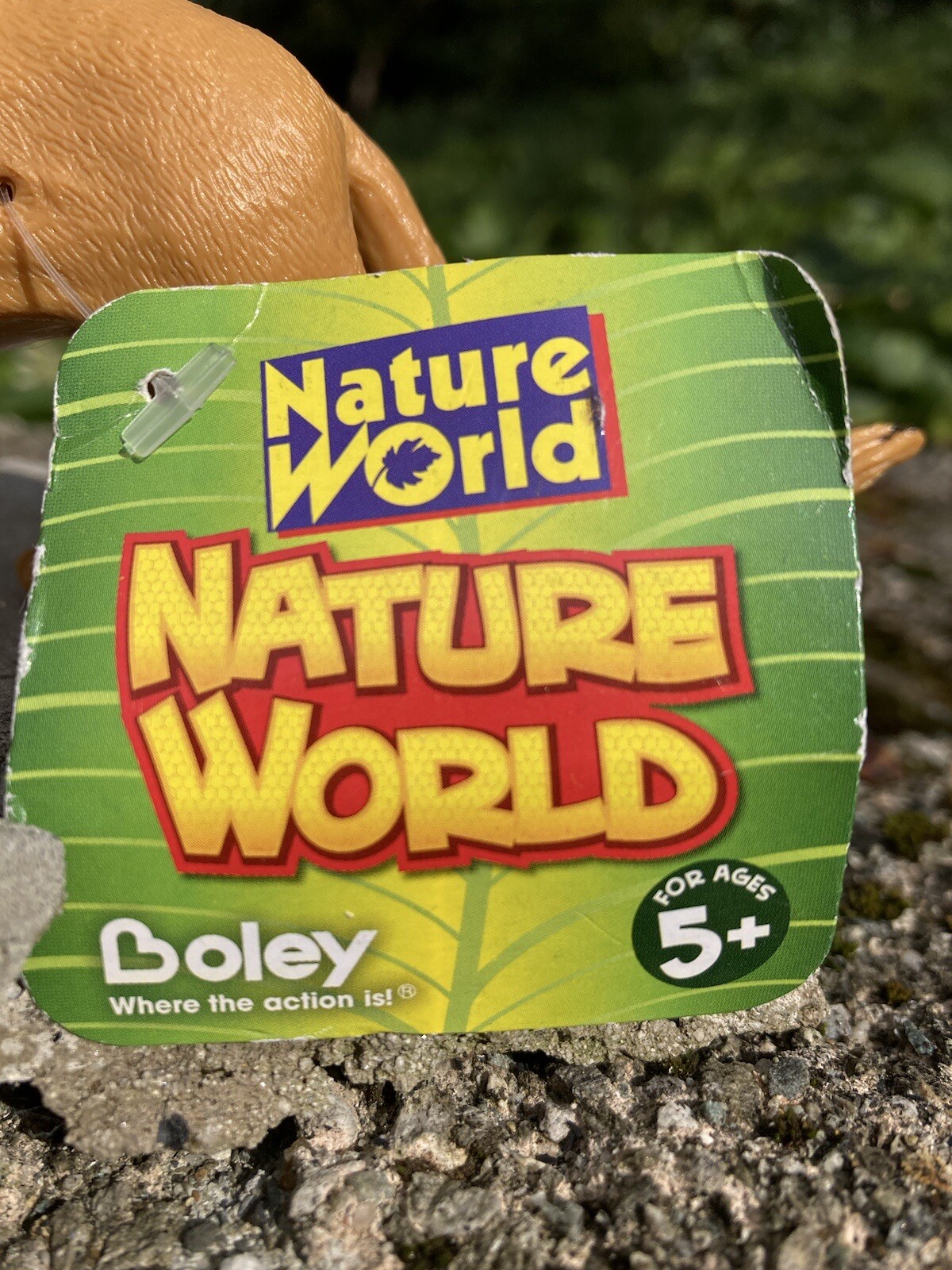 NWT! Boley Nature World Wild Safari Animal ~ LION Toy PVC 5+ KING of ...