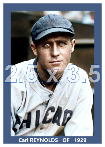 Carl Reynolds - 1929 Chicago White Sox - choose a size - colorized ...