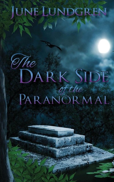 The DarkSide of the Paranormal von June A Lundgren (2015, Taschenbuch ...