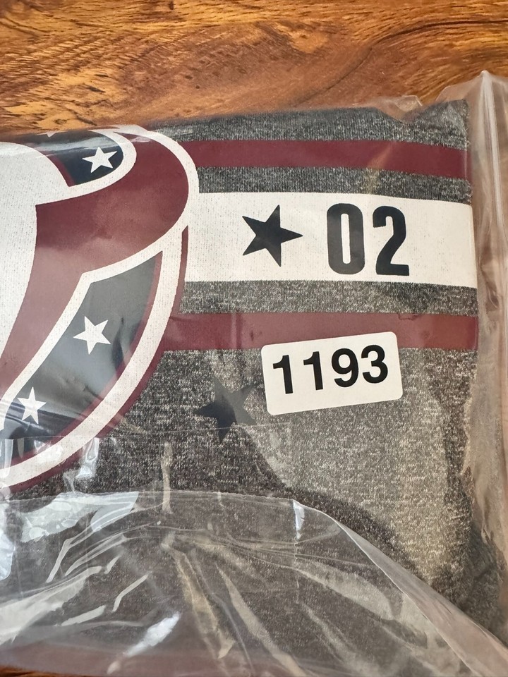 Houston Texans Hoodie Mens Large Gray Team Apparel NFL Football Sports ...