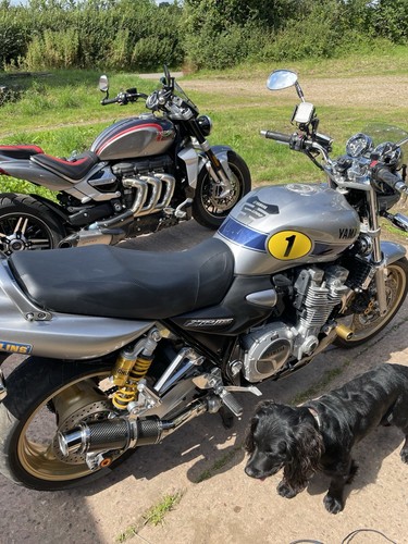 Yamaha Xjr 1300, 2011 fuel injection | eBay UK