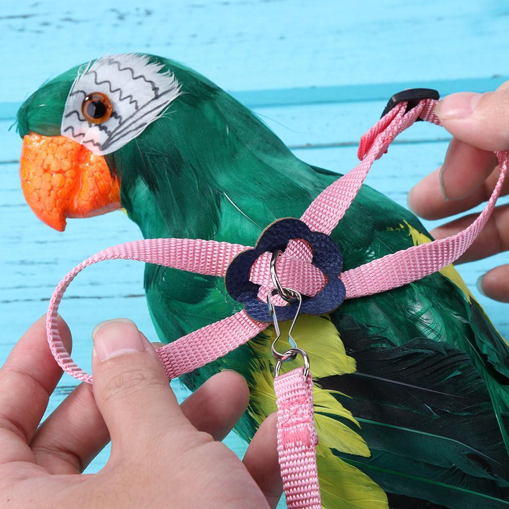 Leash Adjustable Harness Bird Anti Fly Outdoor Training Rope (Pink) | eBay