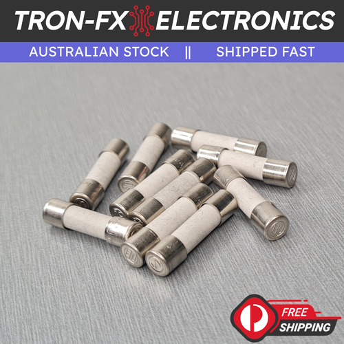 10PCS 4A T4A Ceramic Fuse M205 5mm x 20mm Slow Blow 250V SIBA | eBay ...
