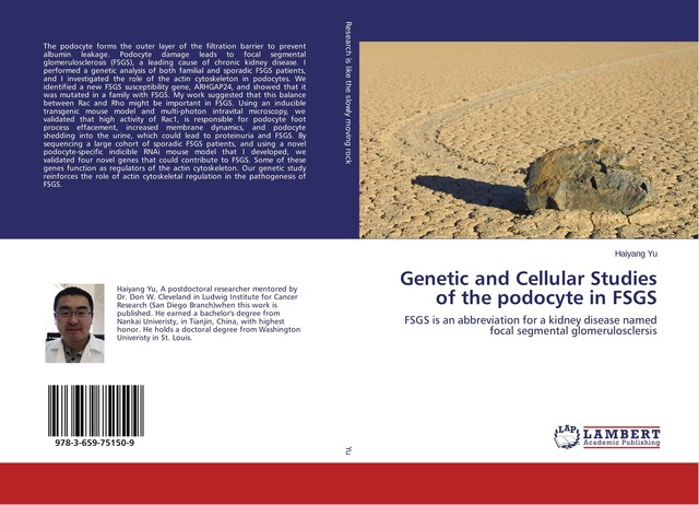 Genetic And Cellular Studies of The Podocyte in Fsgs von Haiyang Yu ...