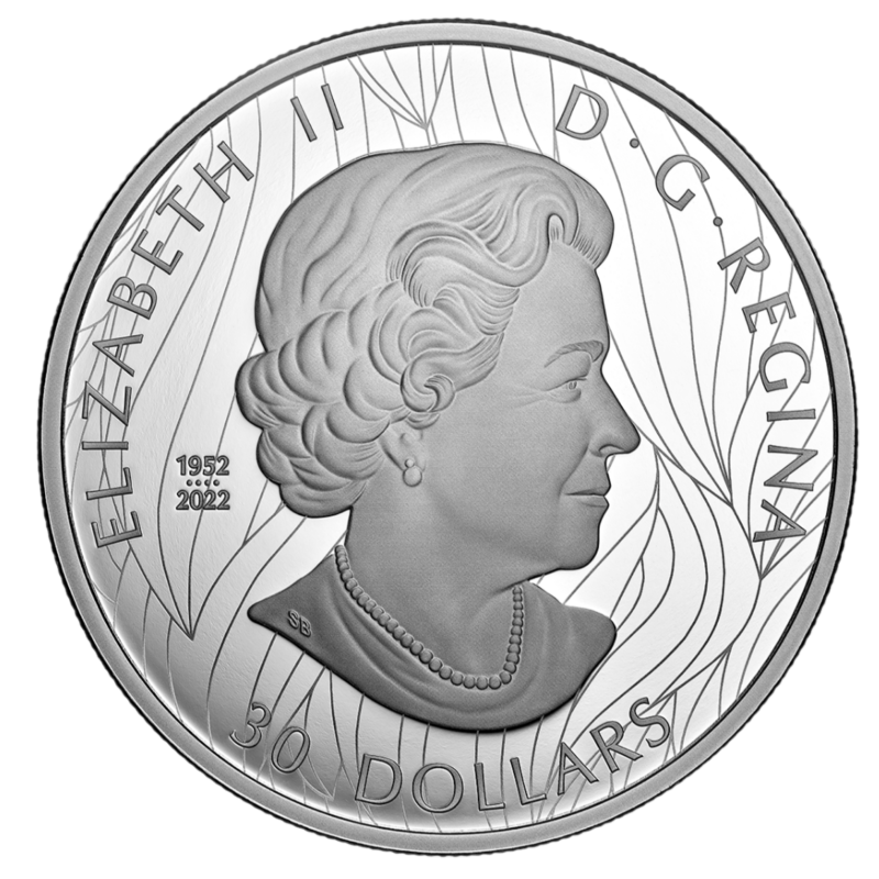 🇨🇦 Canada $30 Dollars Coin Pure Silver 99.99%, The Striking Bald Eagle ...