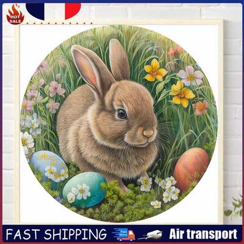 5D DIY Full Round Drill Diamond Painting Rabbit Kit Home Decor Art ...