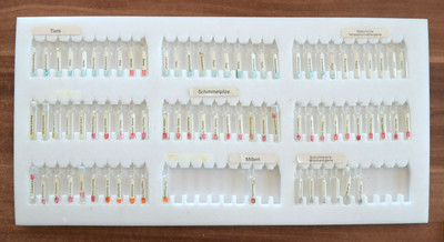 Dr. Schumacher Inhalationsallergene Regumed Testsatz Inhalation Bicom ...