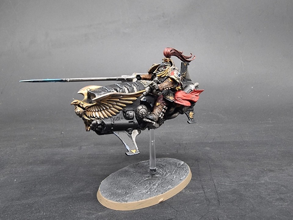 Warhammer 40k Custodes 1000 shadow keepers point army pro painted made ...