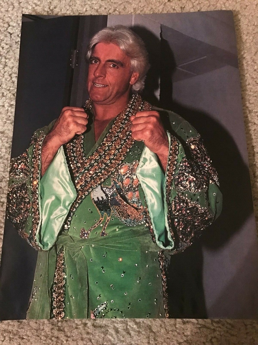 Nature Boy Flair Nwa