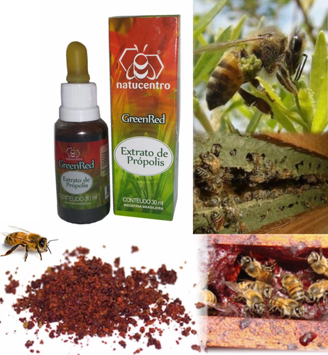 Lot Bee Propolis Extract Brazilian Green & Red blend 6 Bottles x 30ml ...