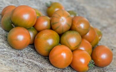 Evil Olive Tomato - 5+ seeds - Heirloom Vegetable Seeds! P 335 | eBay