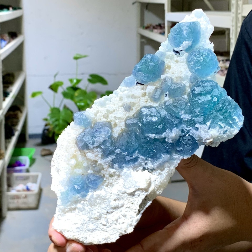 1.78LB Rare Blue Green cubic fluorite mineral crystal sample/Zhejiang ...
