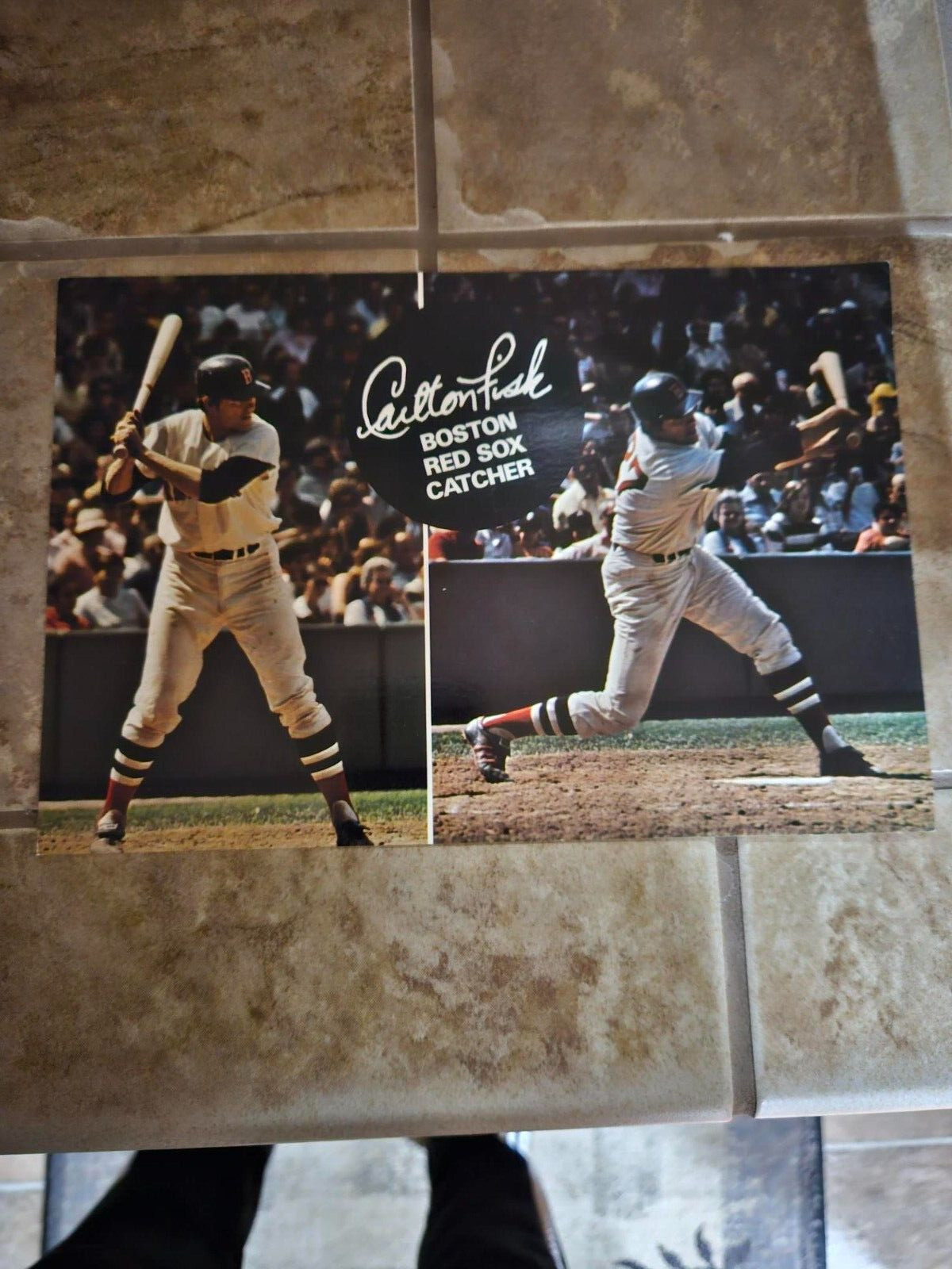 Carlton Fisk Baseball Cards