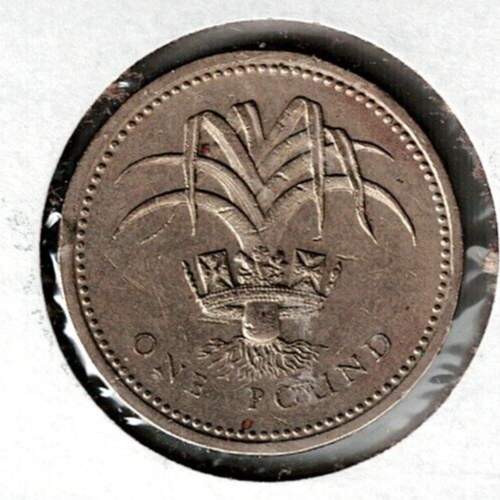 1985 Great Britain circulated 1 Pound QEII & Welsh Leek Coin! | eBay