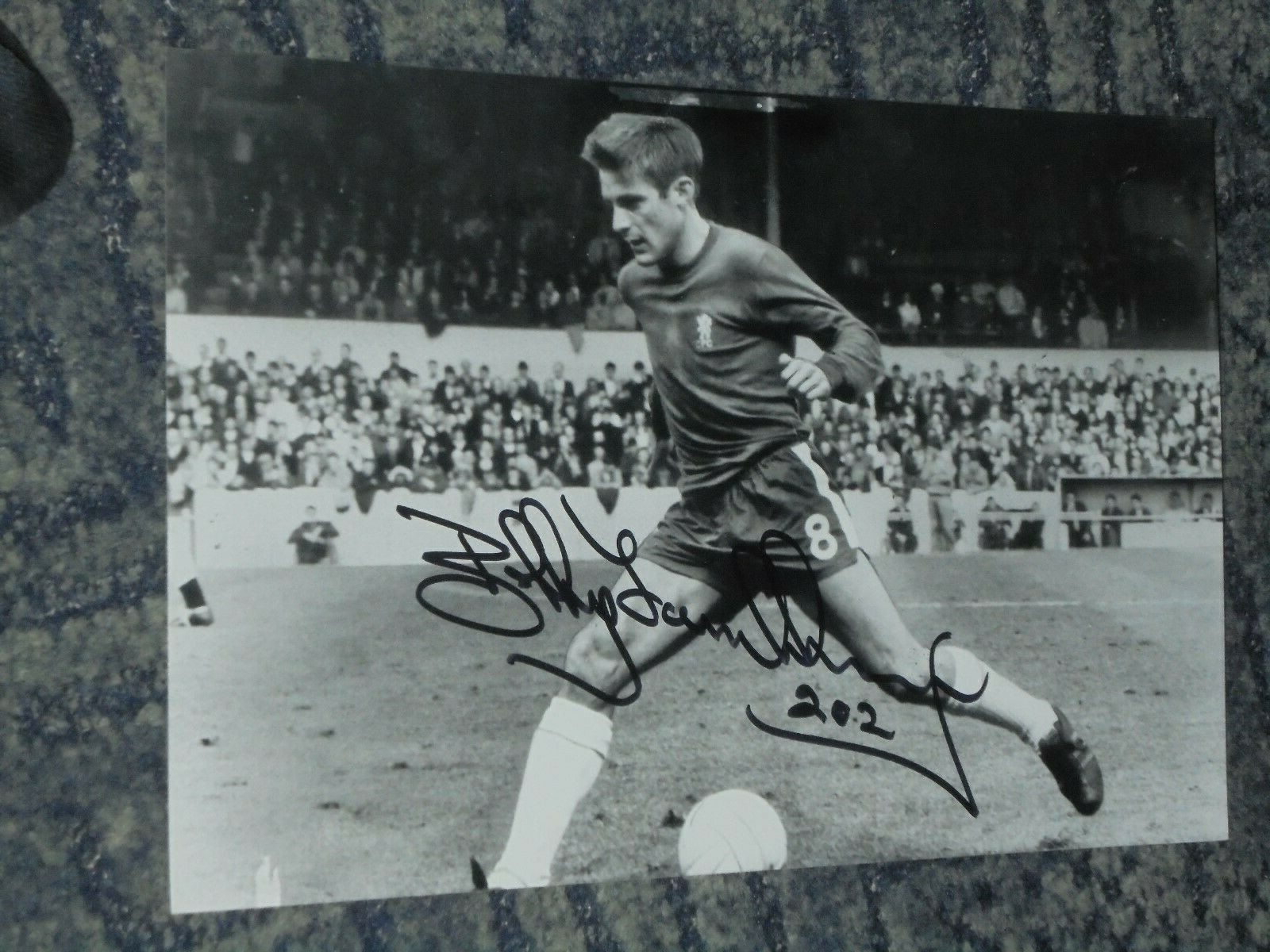 BOBBY TAMBLING - CHELSEA - 12x8 PHOTO SIGNED- (78) | eBay UK