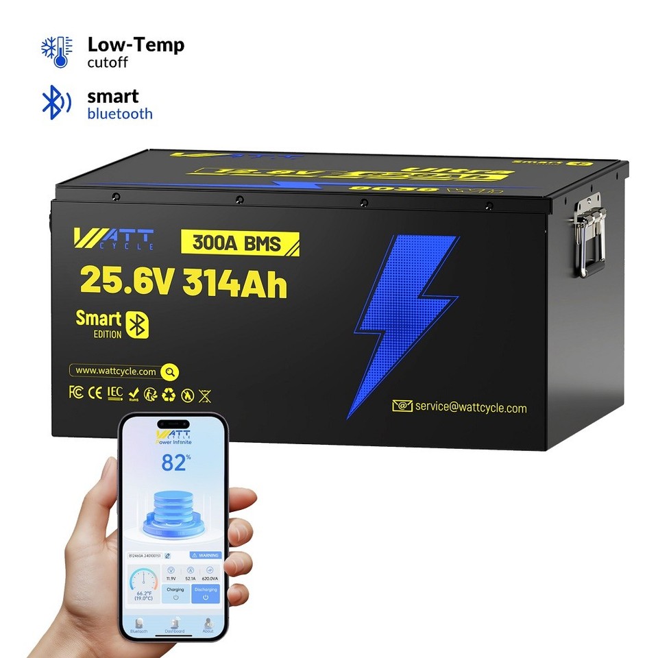 8038Wh 24V 314Ah 300Ah LiFePO4 Lithium Battery 300A BMS golf carts RV ...