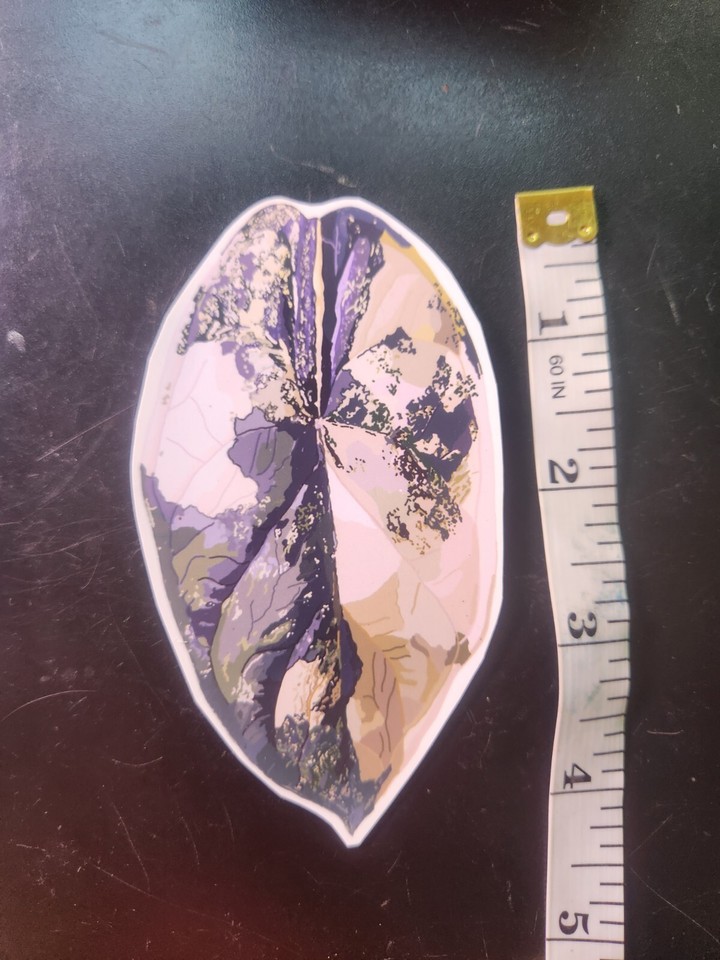 Large Variegated Dragonscale Alocasia Sticker | eBay