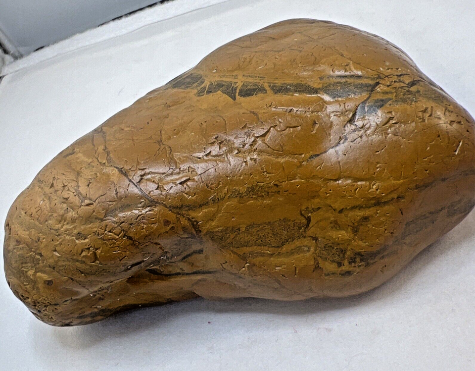 Yellow Jasper WYO Banded Iron Tiger Ironstone GENESIS Mormon Seer Stone ...