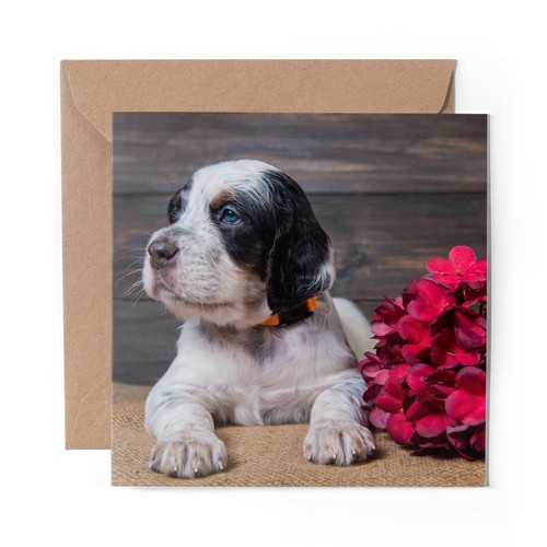 1 x Blank Greeting Card Blue Eye English Setter Puppy Dog #50312 | eBay