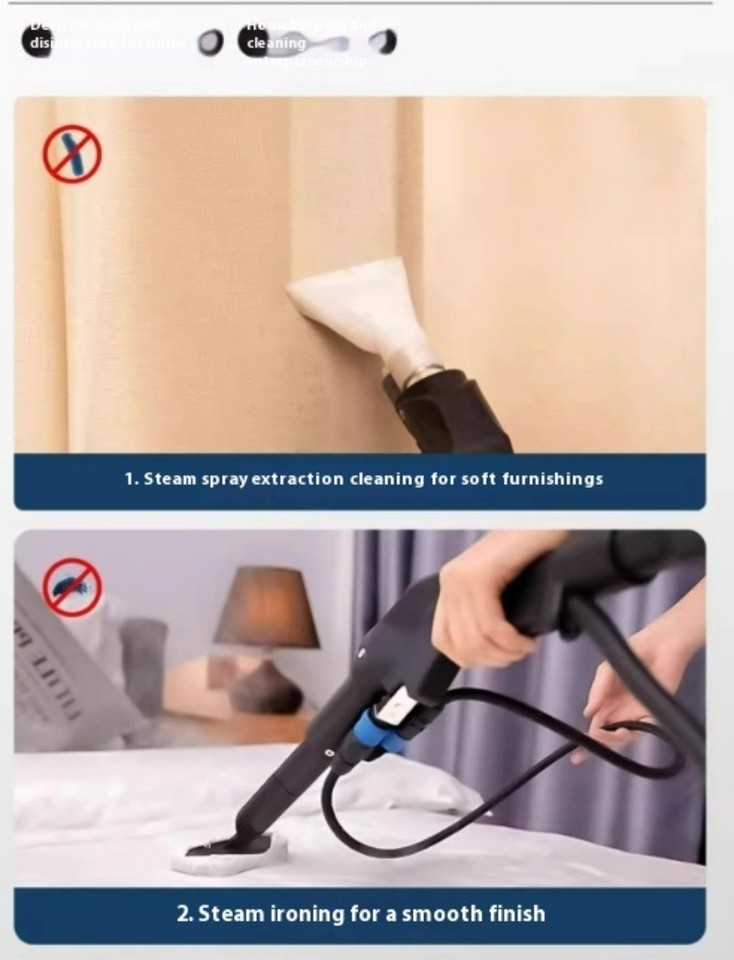 Steam Cleaner Curtain Cleaning Multifunctional Carpet Cleaning All-in ...