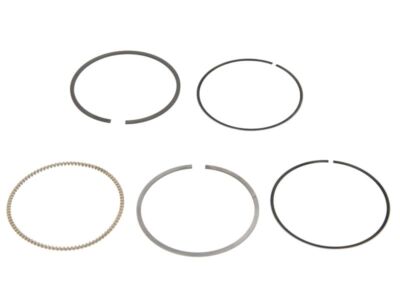 Piston Ring Kit MAHLE 028 22 N0 | eBay Australia