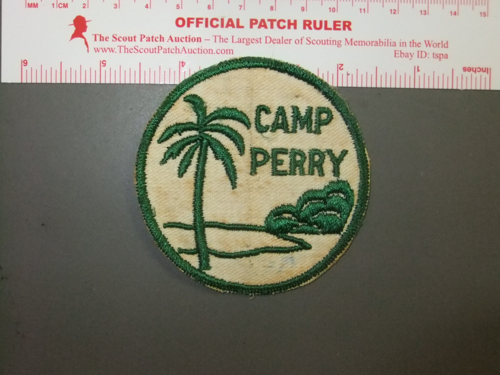 Camp Perry Rio Grande Council Patch 5839DD | eBay