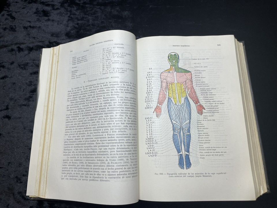 4 Volume Set Tratado De Anatomia Humana Testut Latarjet Human Anatomy ...