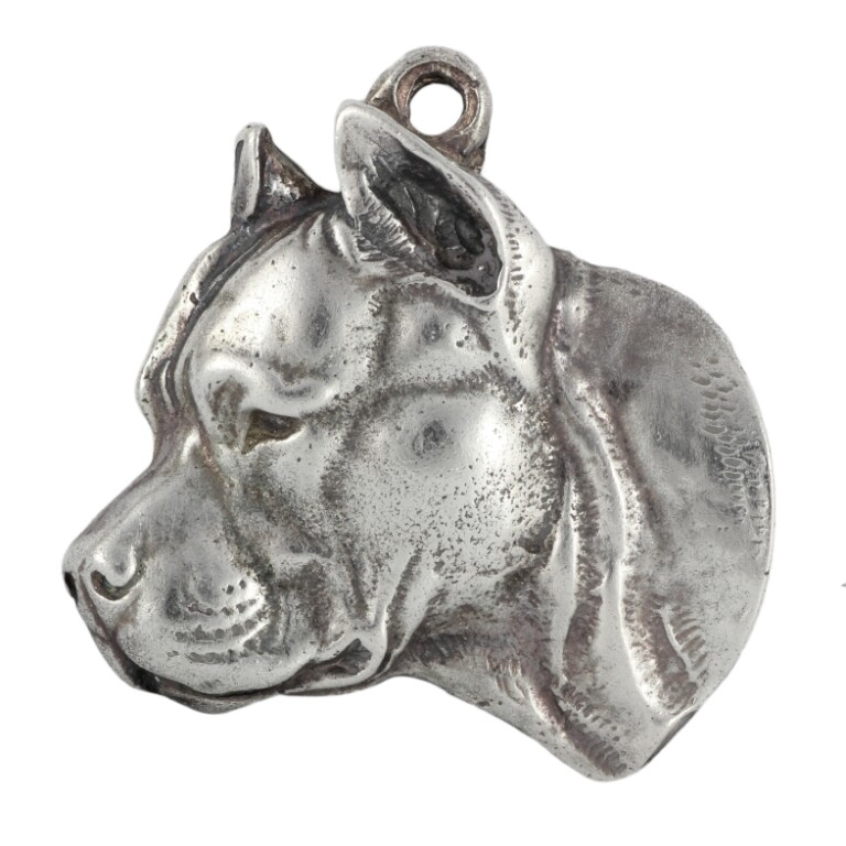 American Staffordshire Terrier, Amstaff II - Dog necklace, unique ...