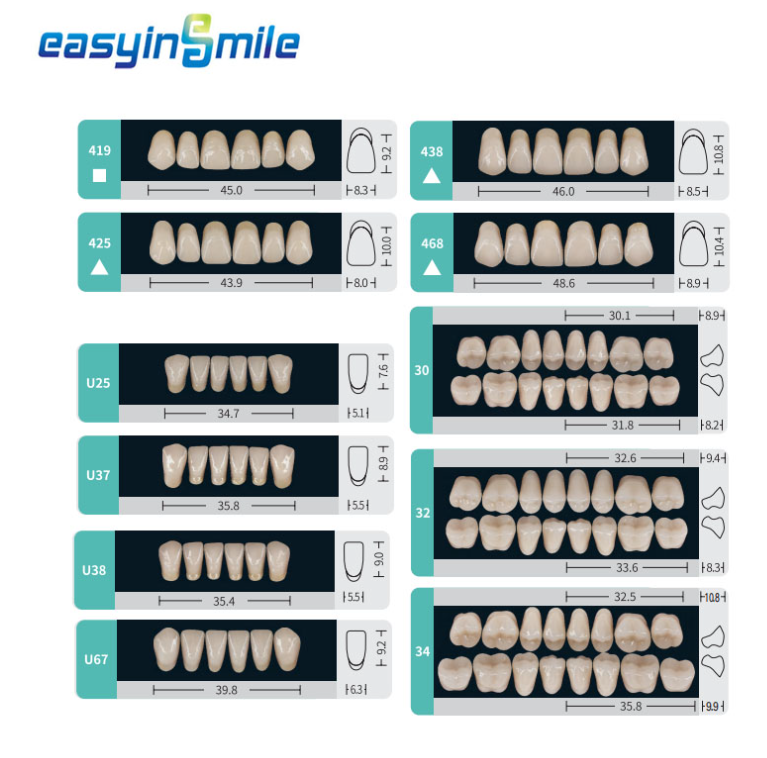 Dental Acrylic Denture Resin Teeth Anterior Upper Lower Full Set Shade ...