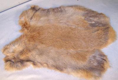 10 NATURAL BROWN GENUINE RABBIT SKIN hide fur pelt WHOLESALE bunny BULK ...