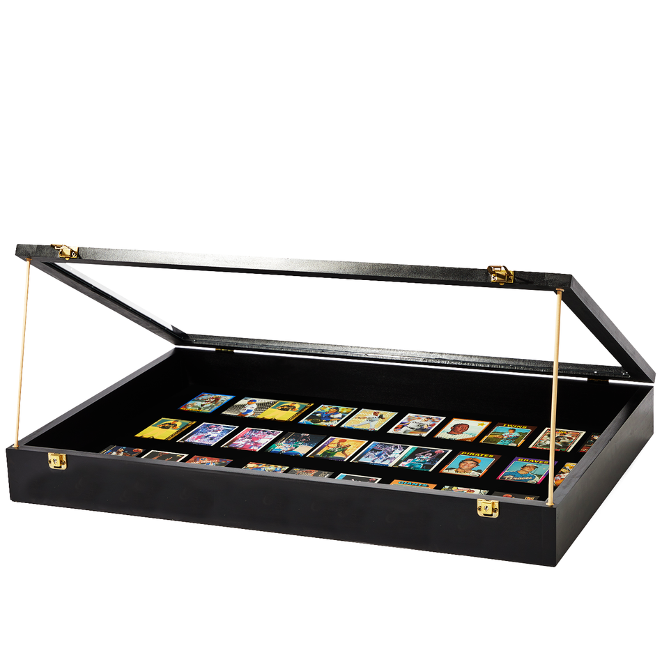 Black Portable Trade Show Display Case for Coins & Collectibles - 24" x ...