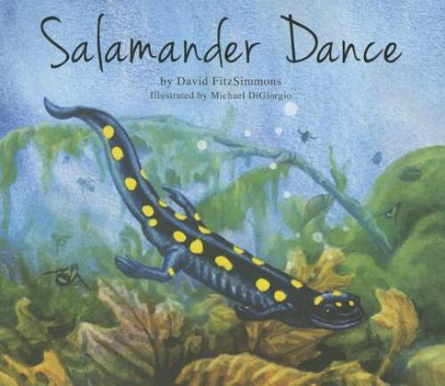 Salamander Dance - Hardcover By FitzSimmons, David - GOOD 9781936607006 ...