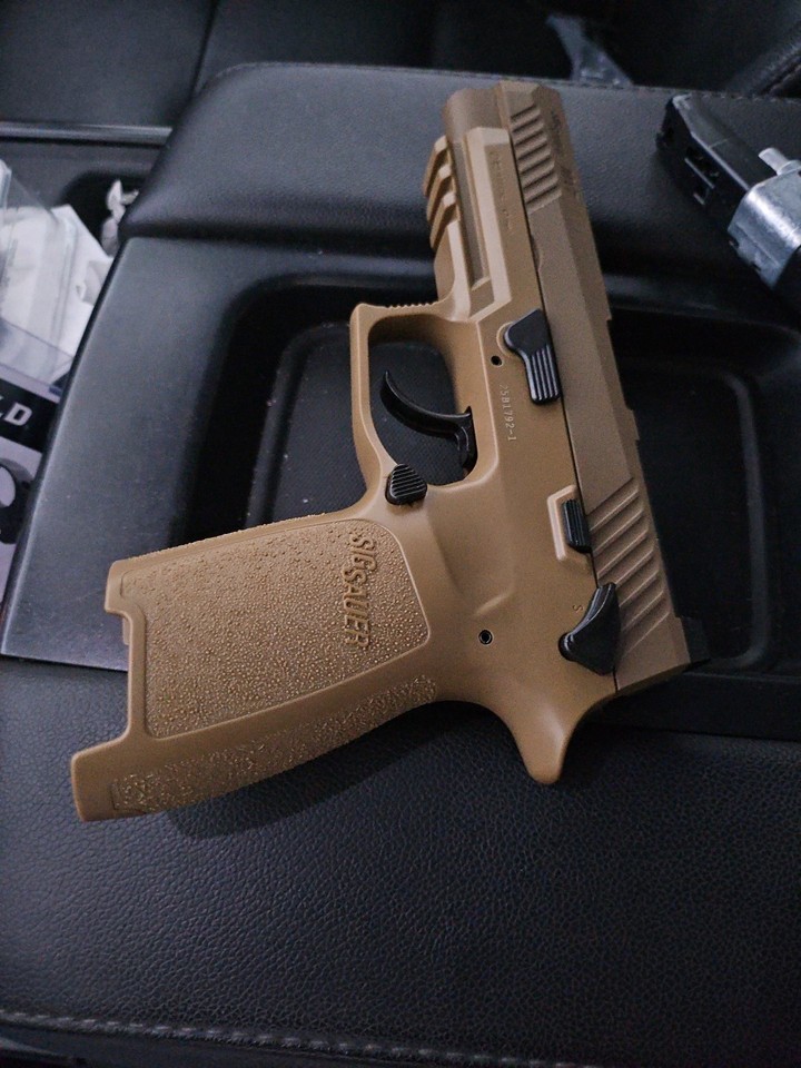 Sig Sauer M17 CO2 BB Gun Air Pistol 380fps .177 cal 4.5mm - AIR-M17-177 798681587902| eBay