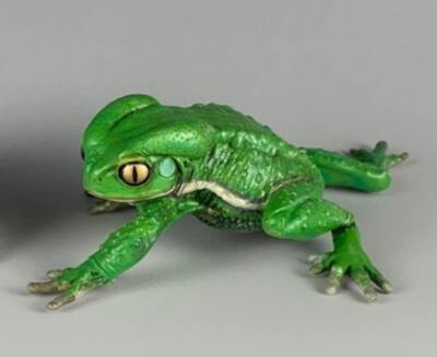 Waxy Monkey Tree Frog Toad PVC Figure Model Figurine | eBay
