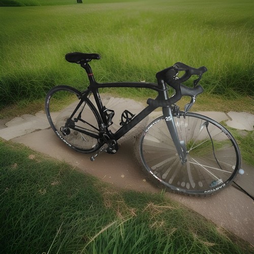 Limited Edition Carbon Fiber Look Road Bike | eBay