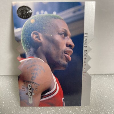 1995-96 SP Championship Shots #S41 Dennis Rodman Die Cut | eBay