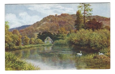 A R Quinton postcard 1528. Box hill from Tixham Mill pond. pristine ...