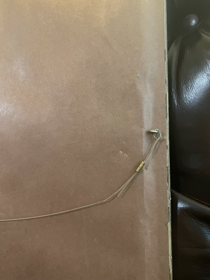 Phil Scholer 1983 Federal Duck Stamp Print Gold Medallion W Double ...