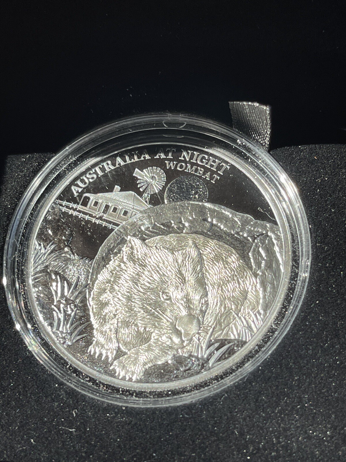 2021 $1 Australia at Night WOMBAT 1oz Silver Black Proof 1000 MADE | eBay