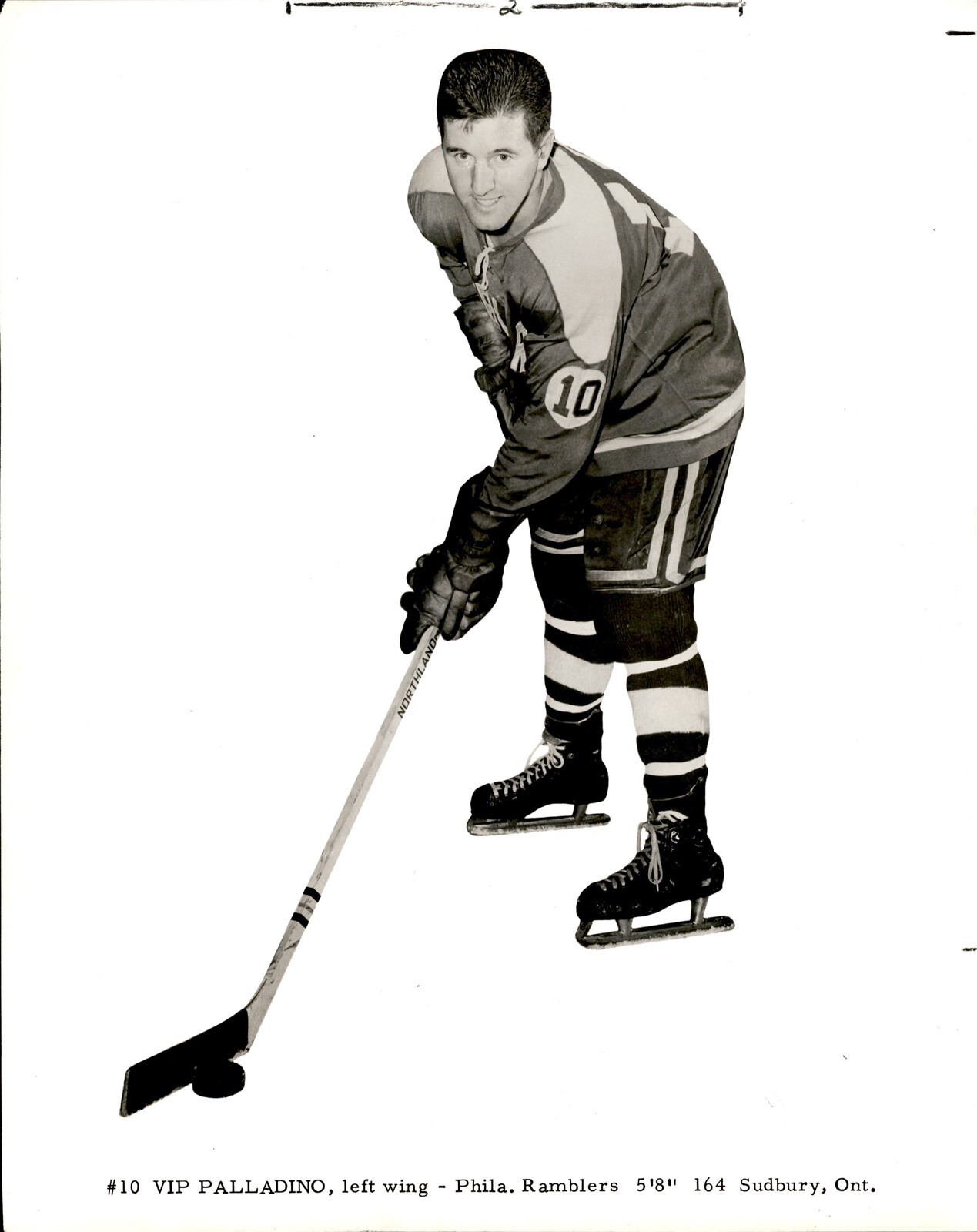 PF6 Original Photo VIP PALLADINO 1959-60 PHILADELPHIA RAMBLERS HOCKEY ...