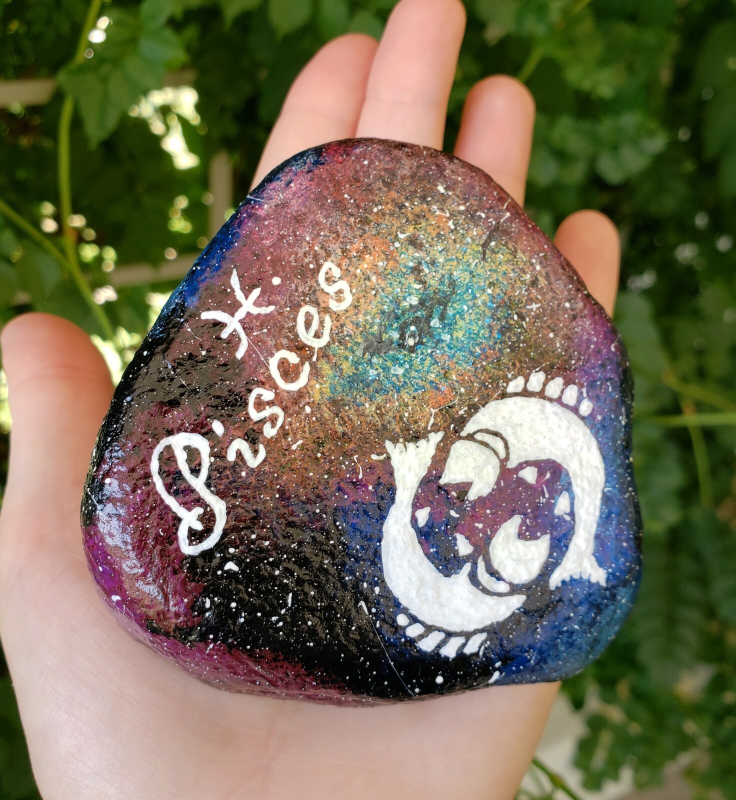 Hand Painted Rock Pisces Zodiac Sign Galaxy Stone | eBay