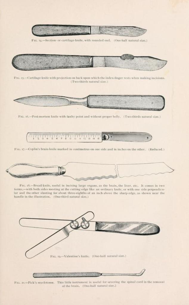 46 ANTIQUE HUMAN AUTOPSY BOOKS ON DVD - POST MORTEM SCIENCE MEDICINE ...