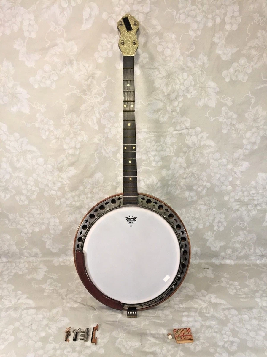 Banjo Head Art