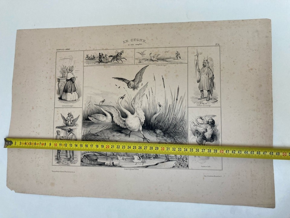 Beautiful Lithograph Leda Swan Jupiter Buffon 19th Century Print ...