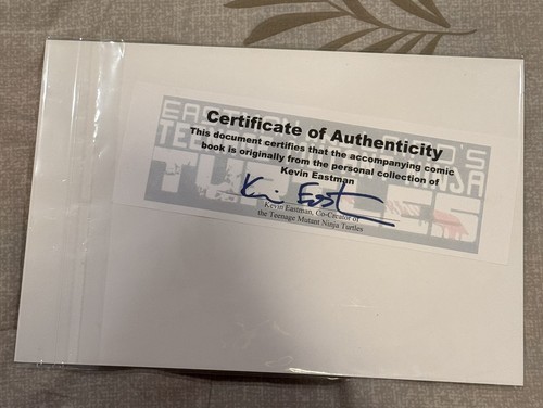 Teenage Mutant Ninja Turtles, Original Comic Art by Kevin Eastman ...