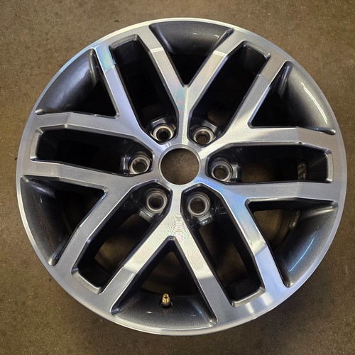 17" FORD F150 RAPTOR CHARCOAL & POLISHED LIKE NEW WHEEL HL3Z-1007-B ...