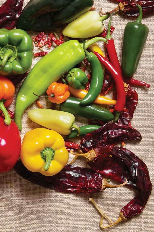 more #2 ASSORTED CHILI PEPPER SEEDS 25 varieties you choose hot mild ...