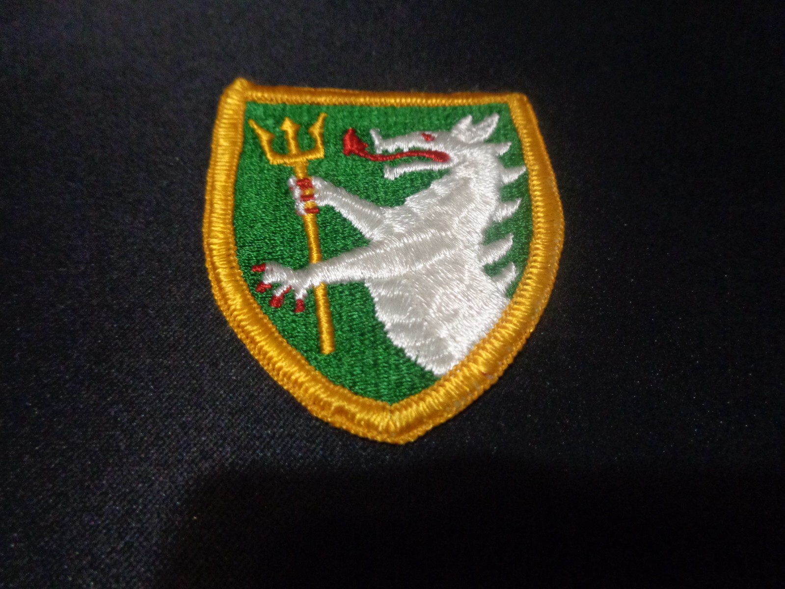 US Army 108th Armored Cavalry Regiment Patch | eBay